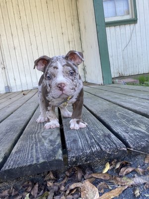 GORDON ANIMAL CLINIC - Updated January 2025 - 17 Photos & 16 Reviews ...