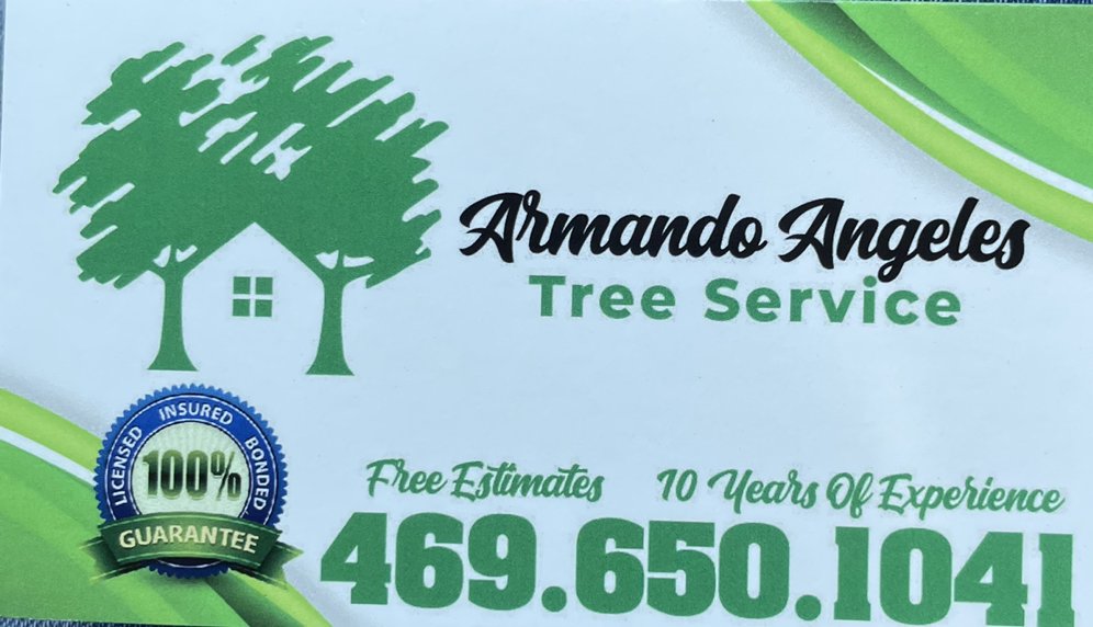 ARMANDO ANGELES TREE SERVICES - Updated August 2024 - Request a Quote ...
