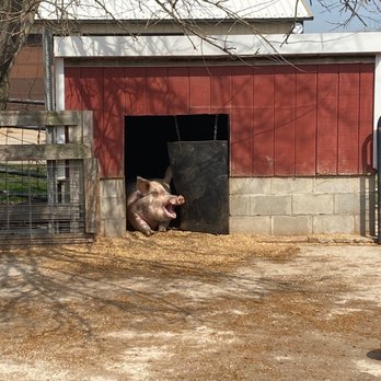 SUFFOLK COUNTY FARM - Updated January 2026 - 67 Photos & 16 Reviews ...