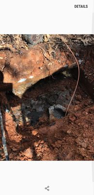 ROOTERPLUS! - Updated April 2025 - 73 Photos & 196 Reviews - 5834 ...