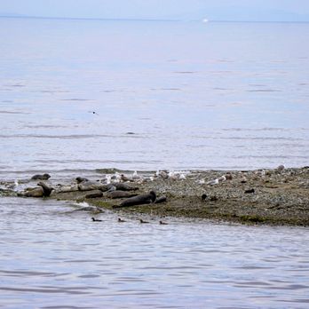 FRS CLIPPER - Updated January 2025 - 340 Photos & 424 Reviews - 2701 ...