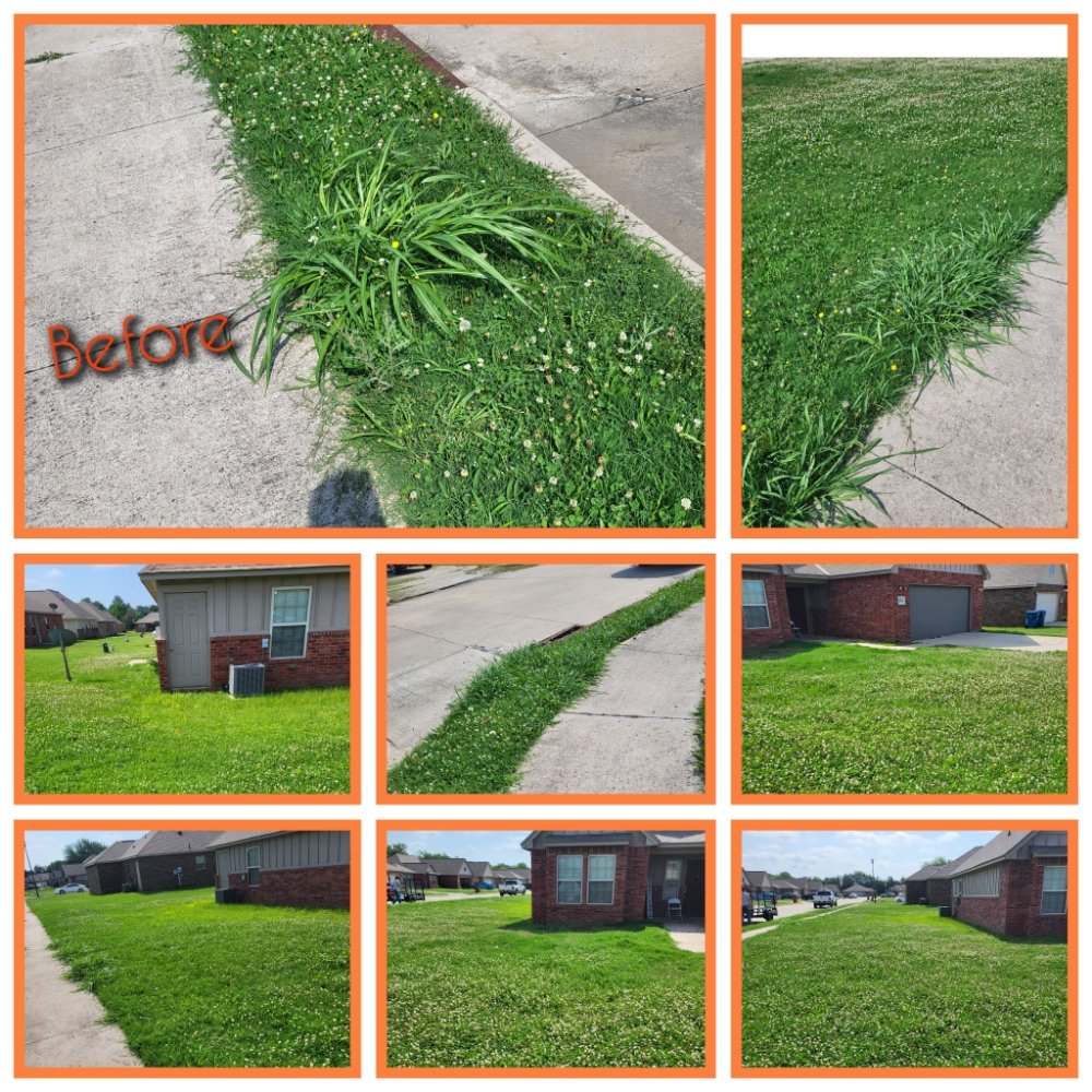 THE GRASS NINJA - Updated May 2024 - Request a Quote - 22 Photos ...