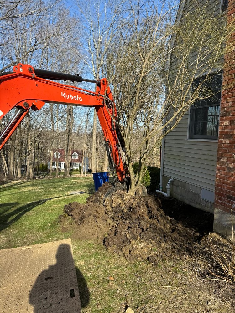 BILLY TREE SERVICES - Updated September 2025 - 12 Photos - Danbury ...