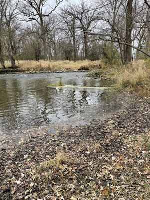 ISLE A LA CACHE MUSEUM - Updated October 2025 - 51 Photos - 501 E Romeo ...