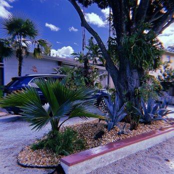 JESSE DURKO’S NURSERY - Updated December 2025 - 114 Photos & 46 Reviews ...