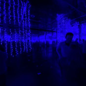 CONCOURSE DANCE BAR - Updated January 2026 - 86 Photos & 163 Real ...