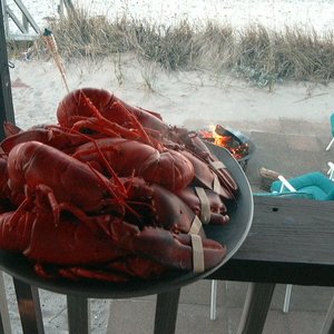 LOBSTER EXPRESS - Updated June 2024 - 36 Photos & 44 Reviews - 49 ...