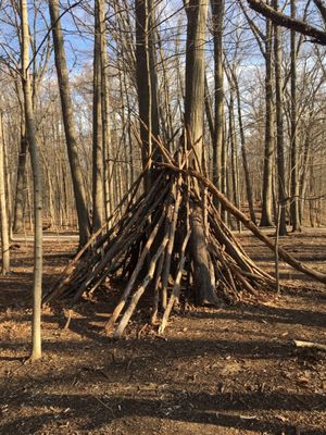 CARPENTER LAKE NATURE PRESERVE - Updated March 2025 - 149 Photos & 45 ...