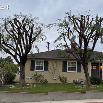 CALIFORNIA TREE DESIGN - Updated June 2024 - 224 Photos & 180 Reviews ...