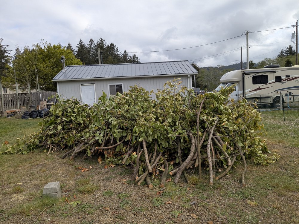 ER Tree Service - Trusted Since 2018 - Updated July 2025 - 17 Photos ...
