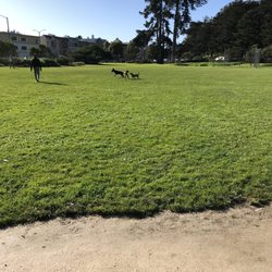 Best Dog Park Near Me - July 2023: Find Nearby Dog Park Reviews - Yelp