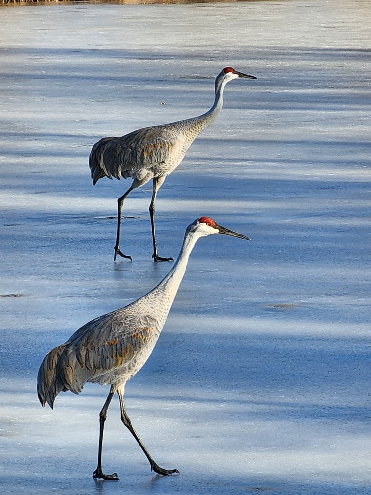 DAVID BOWLING PHOTOGRAPHY - Updated October 2025 - 16 Photos - Westland ...