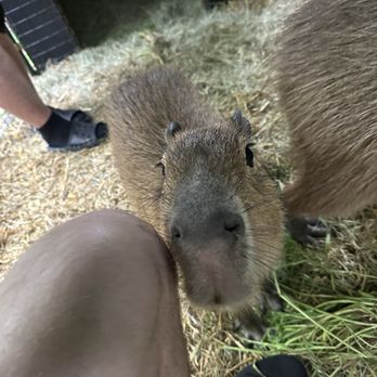 THE DUNHAM FARM - Updated August 2025 - 44 Photos - 3501 FM1187 ...