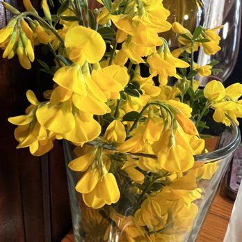 CIBO RUSTICO PIZZERIA - 448 Photos & 430 Reviews - 1305 Cleveland Ave ...