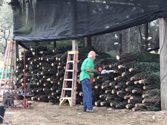 ERGLE CHRISTMAS TREE FARM - Updated October 2025 - 31 Photos & 17 ...