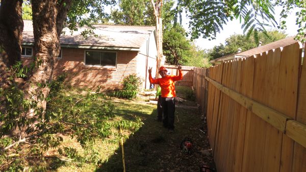 TREE SOLUTIONS OF TEXAS - Updated October 2025 - 20 Photos & 21 Reviews ...