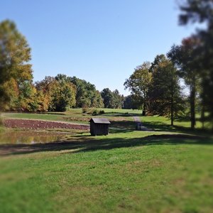 SHADOWOOD GOLF COURSE - Updated August 2025 - 14 Photos & 10 Reviews ...