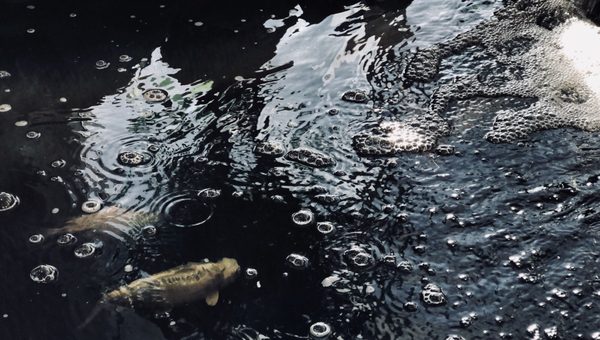 HEUBERGER SUBARU - Updated December 2025 - 51 Photos & 303 Reviews ...