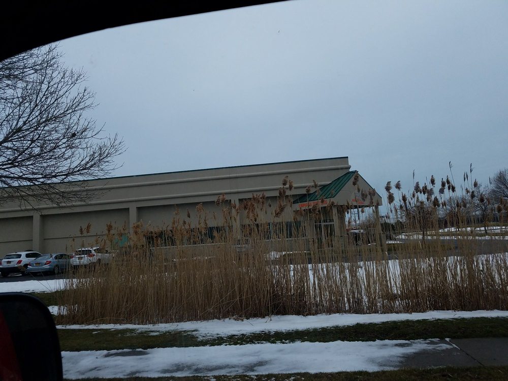 SAMPLA BELTING - Updated August 2025 - 61 North Gates Ave, Lackawanna ...