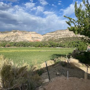 ARCHIE’S FOOD TO DIE FOR - 26 Photos & 28 Reviews - Food Trucks - 102 ...