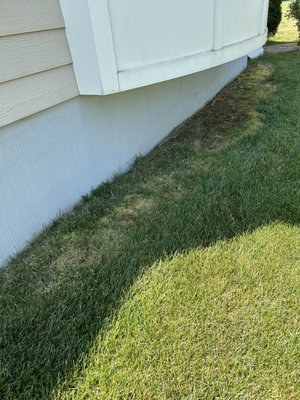 SPOSATO LANDSCAPE - Updated December 2025 - 34 Photos & 16 Reviews ...