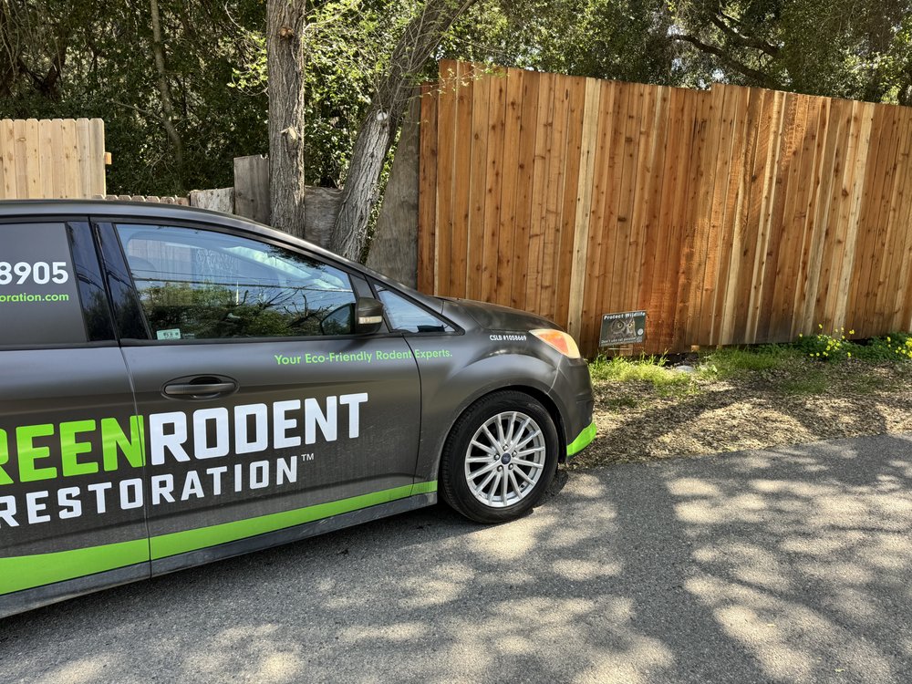 GREEN RODENT RESTORATION - Updated August 2025 - 22 Photos - 485 US-1 ...