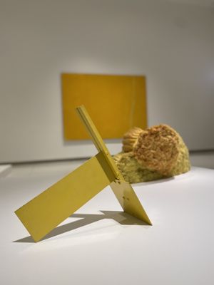 SMART MUSEUM OF ART - Updated January 2026 - 113 Photos & 64 Reviews ...