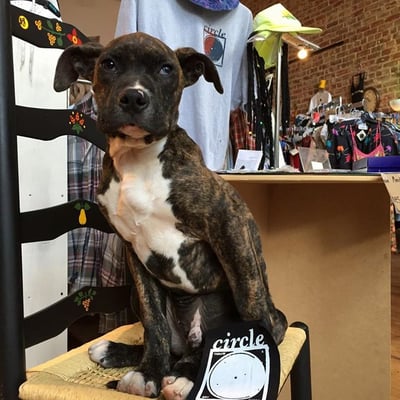 CIRCLE THRIFT & ART SPACE - 17 Photos & 15 Reviews - 400 W Broad St ...