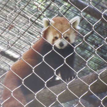 BRANDYWINE ZOO - Updated April 2025 - 147 Photos & 65 Reviews - 1001 N ...