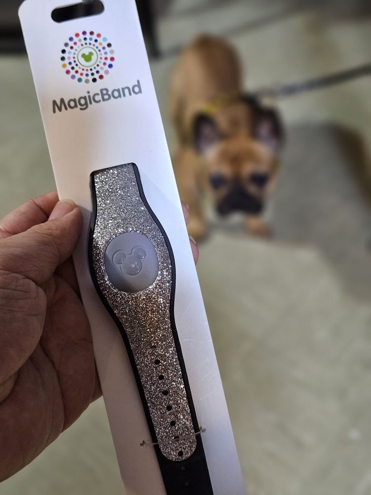 GOODWILL INDUSTRIES SACRAMENTO VALLEY & NORTHERN NEVADA - Updated ...