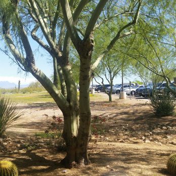 APACHE JUNCTION PUBLIC LIBRARY - Updated December 2025 - 26 Photos & 21 ...