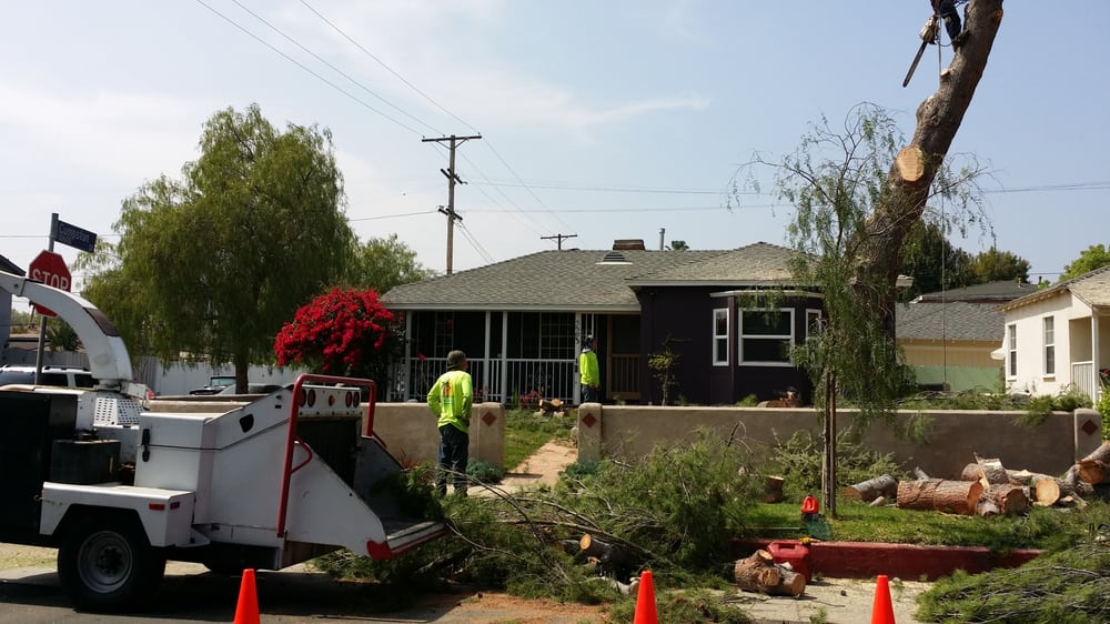 Green All Season Tree Service Inc - Trusted Since 1994 - Updated July ...