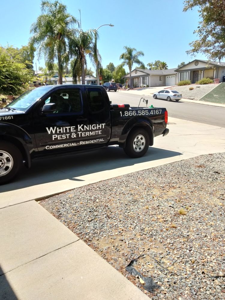 WHITE KNIGHT PEST CONTROL - Updated January 2025 - 14 Photos & 76 ...