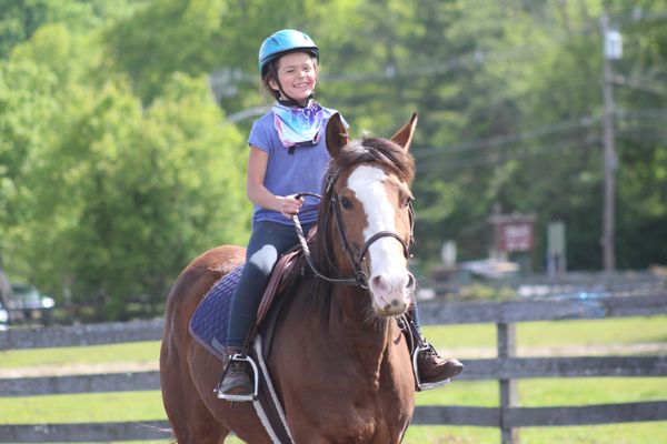 SEATON HACKNEY STABLES - Updated January 2026 - 129 Photos & 76 Reviews ...