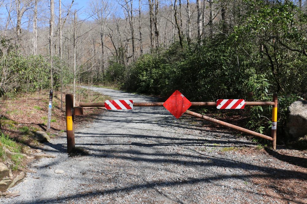 DANIEL RIDGE FALLS - Updated July 2025 - National Forest 475 Rd ...