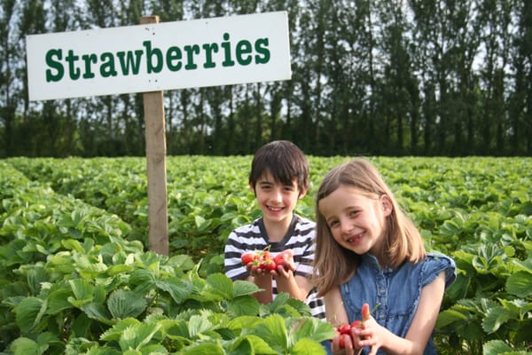 GARSONS FARM - Updated December 2025 - 34 Photos & 17 Reviews ...