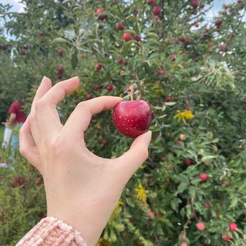 PATTERSON FRUIT FARM - Updated August 2024 - 195 Photos & 126 Reviews ...