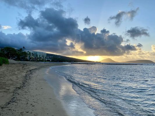 SHOWA LAW OFFICE - Updated December 2025 - 63 Reviews - 735 Bishop St ...