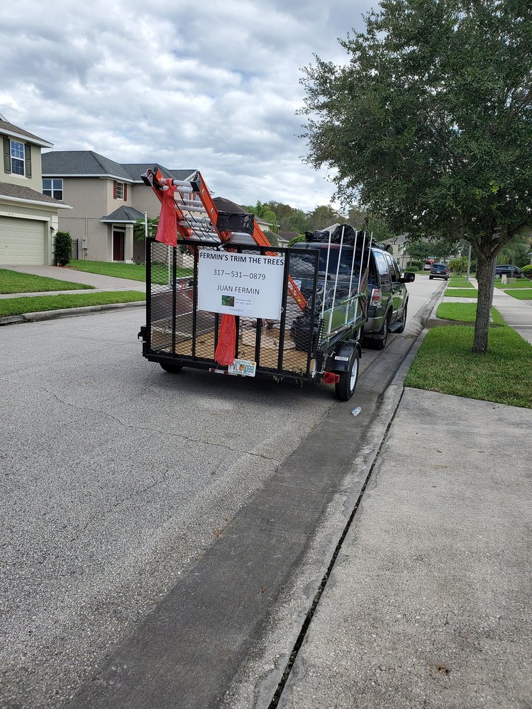 JD TREE SERVICES & MORE - Updated November 2024 - Orlando, Florida ...