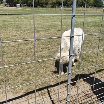 HAWK RANCH - Updated December 2025 - 137 Photos & 38 Reviews - 42149 ...