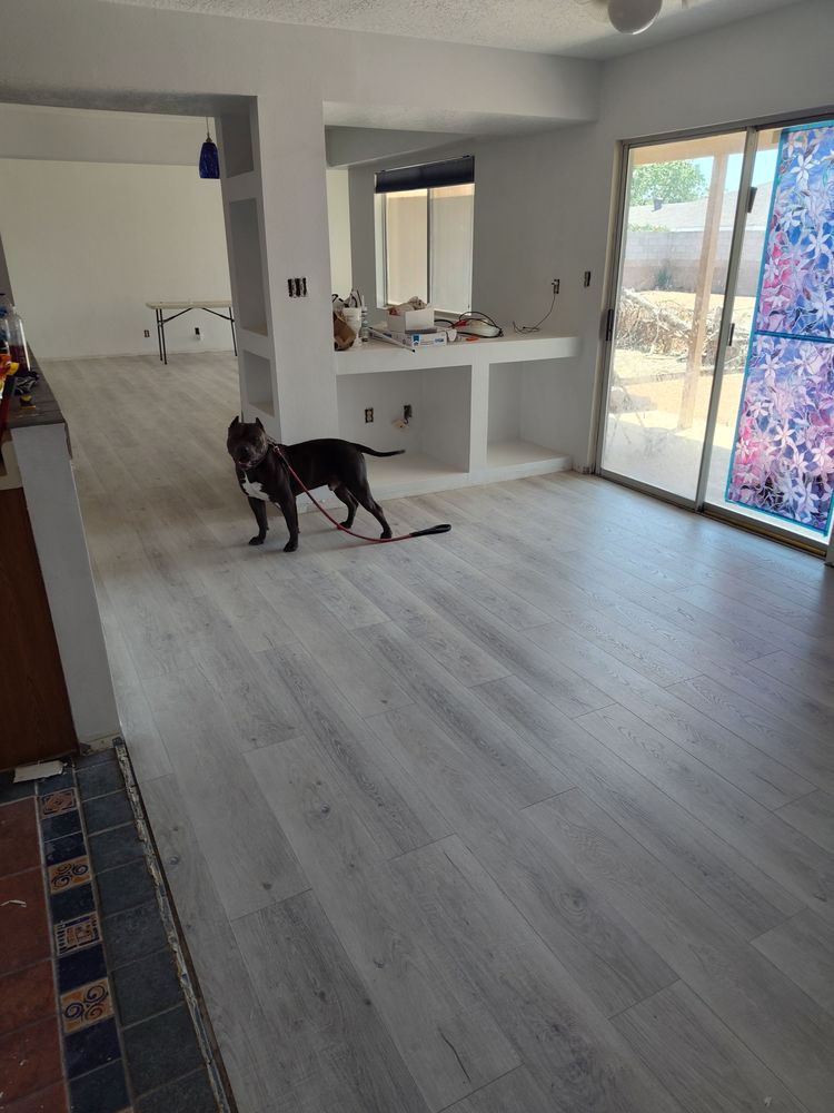 KOALA T SERVICES - Updated October 2025 - Request a Quote - 13 Photos ...