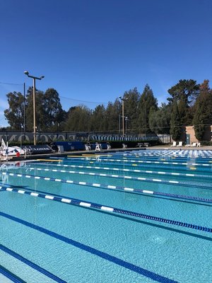 MILLS COLLEGE AT NORTHEASTERN UNIVERSITY POOL - 12 Reviews - 5000 ...