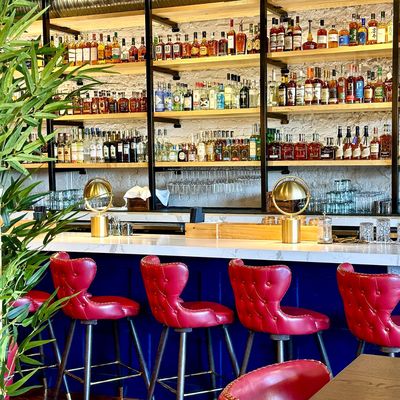 PERRY STREET CHOPHOUSE - Updated October 2024 - 335 Photos & 164 ...