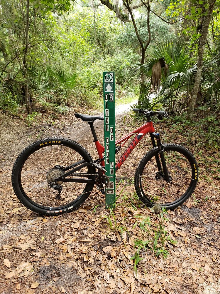 LITTLE BIG ECON STATE FOREST - 120 Photos & 21 Reviews - Hiking - 1350 Snow Hill Rd, Geneva, FL ...