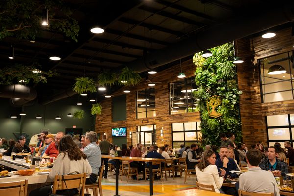 MADTREE PARKS & REC - Updated December 2025 - 140 Photos & 76 Reviews ...