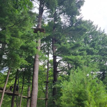TREETOP ADVENTURES - TEMP. CLOSED - Updated December 2025 - 92 Photos ...