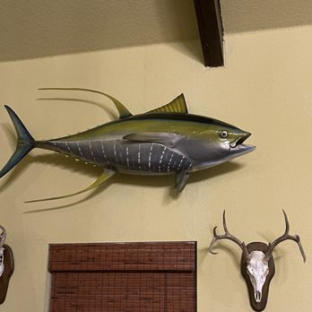 GRAY TAXIDERMY - Updated December 2024 - 144 Photos & 147 Reviews - 712 ...