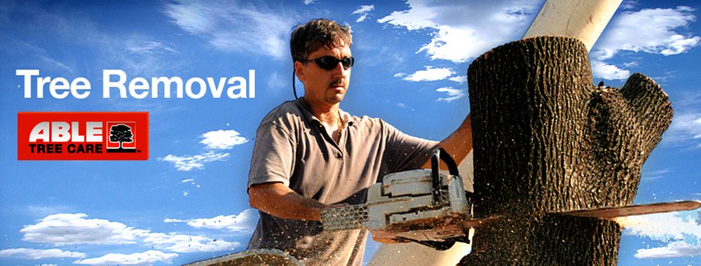 ABLE TREE CARE - Updated September 2025 - 14 Photos & 14 Reviews - 6114 ...