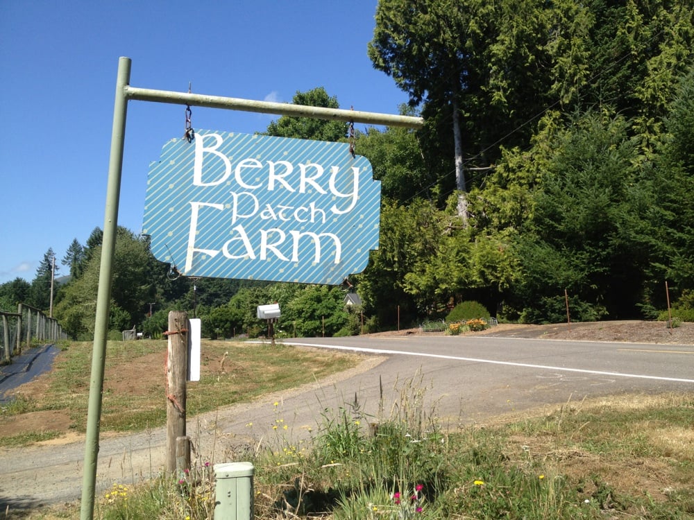 BLUEBERRY PATCH FARM - Updated December 2025 - 89849 Greenwood Dr ...