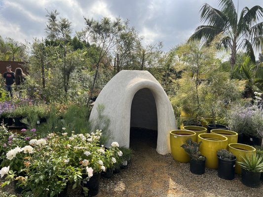 Marina Del Rey Flora Grubb Gardens Updated November 2024 30 Photos
